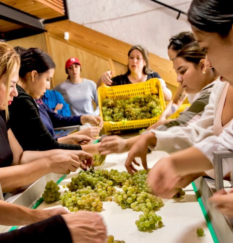 Q&A with Valentina Garza, Mexican Wine Explorer, Storyteller ...